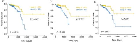 放疗抵抗方向，生物标志物筛选 Gwas等多组学分析 预后分析 8分 纯生信，性价比简直太 哔哩哔哩