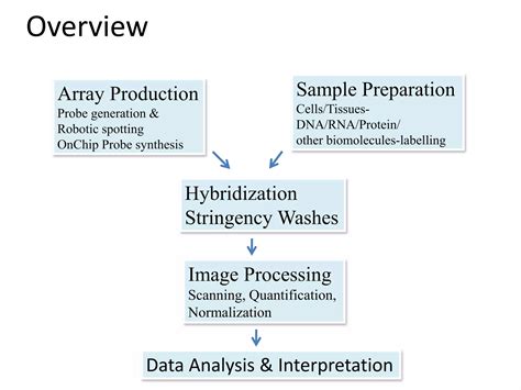 dna microarray final ppt pptx