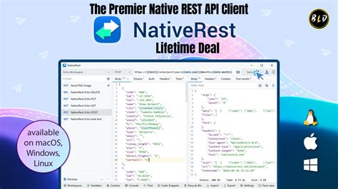 Nativerest Lifetime Deal The Ultimate Rest Api Testing Tool