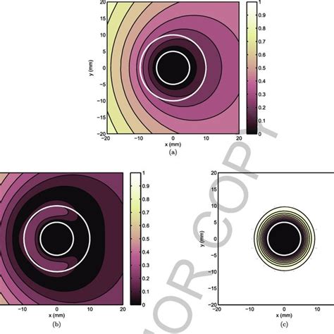 The Magnitude Of The Electric Field In Contour Plot For The Case Of Download Scientific