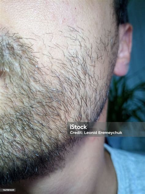 수염을 기르는 젊은이 근처 수염 1주일 이상 면도하지 않습니다 가까운에 대한 스톡 사진 및 기타 이미지 가까운 갈색 머리 건강관리와 의술 Istock