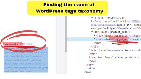 How To Make Tags Invisible In WordPress Step By Step Guide