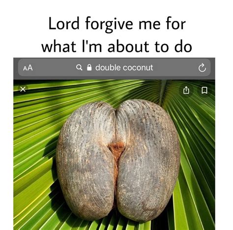 Coconut Drinking Meme At Irene Troyer Blog