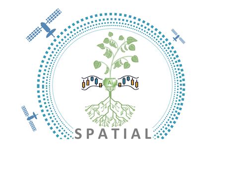 spatial project ai and earth observation for financial markets