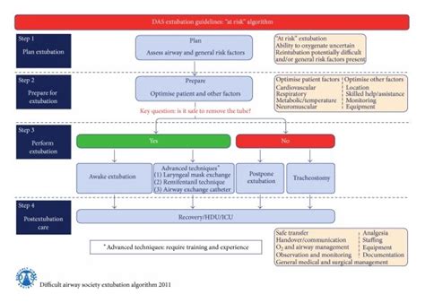 Guidelines For The Management Of Tracheal Extubation High Risk