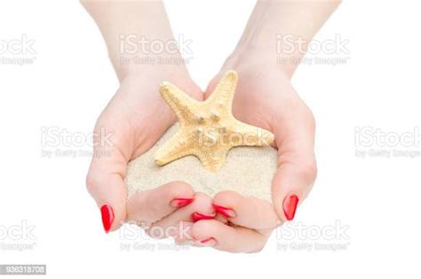 조개 모래의 더미를 들고 여자의 손 휴가 여행 개념입니다 백색에 절연 되어 있습니다 최고의 볼 수 있습니다 개념에 대한 스톡 사진 및 기타 이미지 Istock