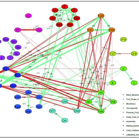 Ta Descriptor Correlation Network Displaying Relationship Between Fruit