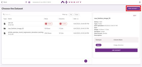 4 Select Testing Dataset Ai Verify User Guide