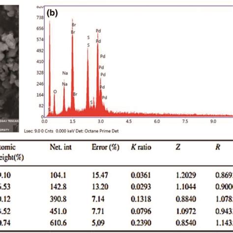 Sem A And Edax B Spectrum Of Pdac 5 Download Scientific Diagram