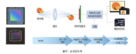 Qyresearch Korea