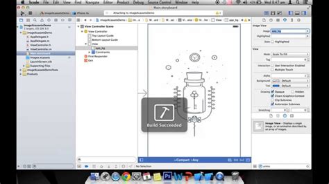 How To Use Imagexcassets Youtube