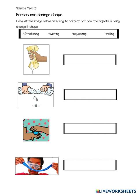 Measuring Forces Worksheet Ks2