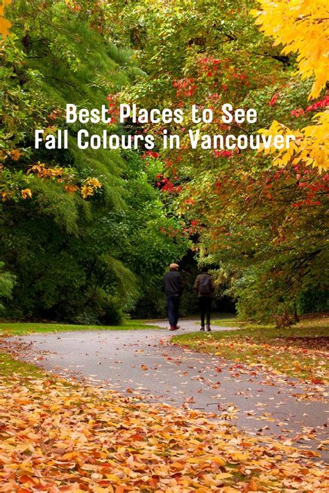 12 Places To See Fall Colours In Vancouver Places To See Fall Colors