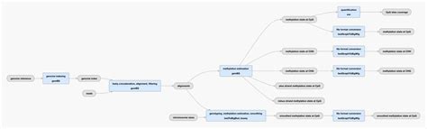 Whole Genome Bisulfite Sequencing Data Standards And Gembs Based Processing Pipeline Encode