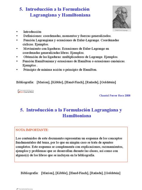 Formulacion Lagrangiana Y Hamiltoniana Pdf Pdf Mecánica Hamiltoniana Ecuación De Euler