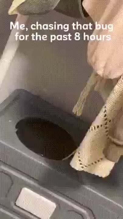 Video Jessica Chung On Linkedin Programming Programmingmemes