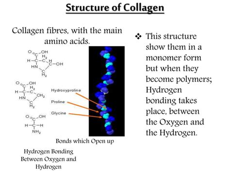 Polypeptides Pptx Chemistry Science