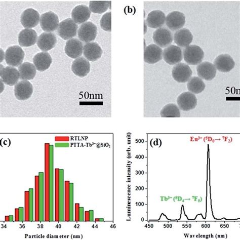 Intracorporal Process Evaluated By Time Gated Luminescence Imaging At Download Scientific