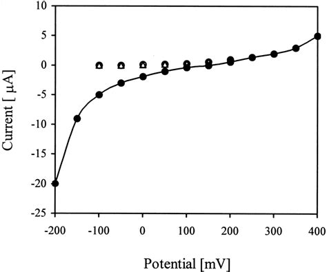 Polarization Curves Of Graphite Electrode Modified With Microquantities