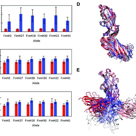 Fimh Interdomain Hydrogen Bonding Interactions Number Of Hydrogen