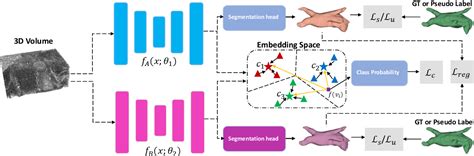 Figure From Leveraging Unlabeled Data For D Medical Image Segmentation Through Self