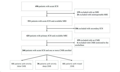 Flow Diagram Cmb Cerebral Microbleed Ich Intracerebral Hemorrhage