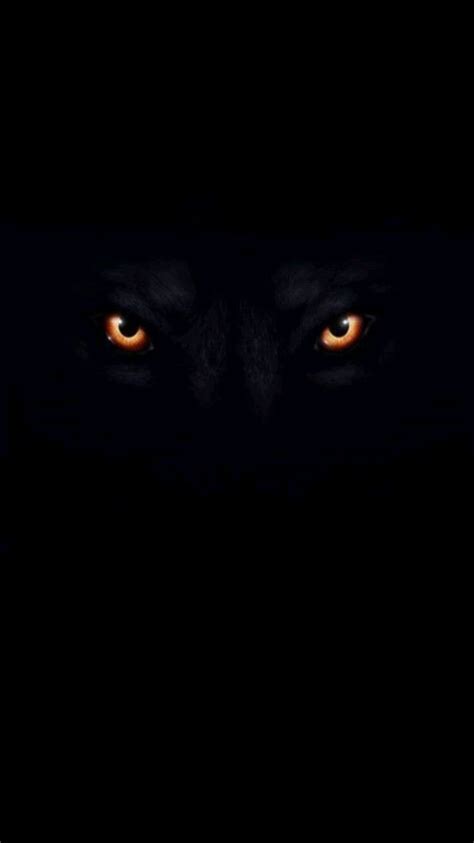 Wolf Eyes In Dark