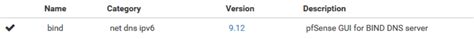 Installazione E Configurazione Di Bind Dns Su Pfsense