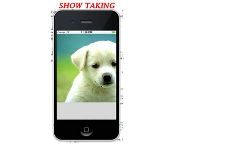Ios How To Avoid Bad Orientation Showing Picture Then Use Uiimagepickercontroller Stack