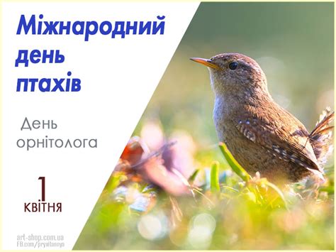 Блог Савчин Тетяни Яківни День птахів