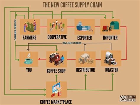 How To Find A Coffee Supplier The New Coffee Supply Chain