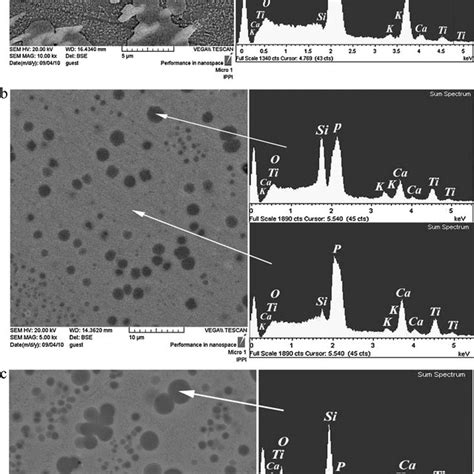 PDF The Effect Of SiO And K O On Glass Forming Ability And Structure Of CaO TiO P O Glass