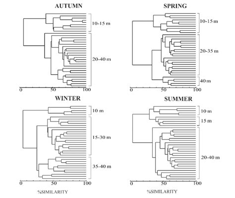 Similarity Dendrograms Based On Abundance Matrices Of The Four