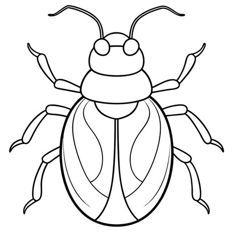 A Coloring Page Of An Junebug With No Color Just Black Lines Vector Illustration Line Art