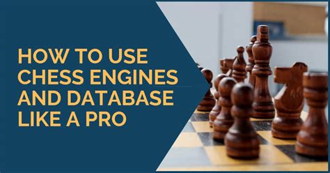 How To Use Chess Engine And Databases Like A Pro Thechessworld