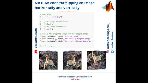 Matlab Code For Flipping An Image Horizontally And Vertically Youtube