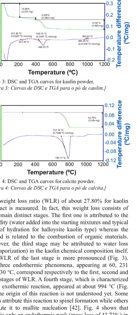 Sem Micrographs Of Cross Section A And The Surface B Of Support Download Scientific Diagram