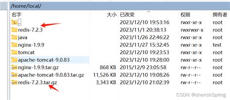 Linux7安装redis723以及使用ssh方式远程连接redis教程redis 723targz Csdn博客