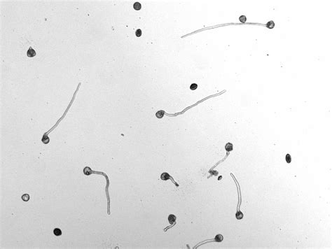 5 Object Detection Dataset By Hokkaido University