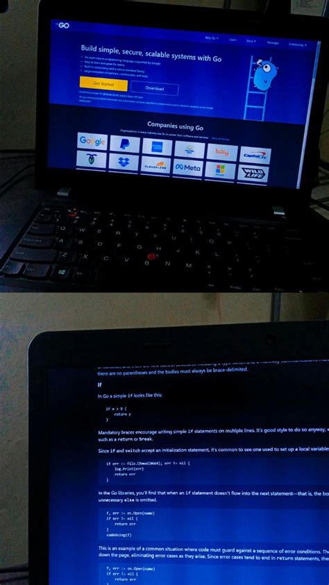 Belajar Hal Baru Di Luar Javascript Yaitu Go Golang Rizal Fauzan