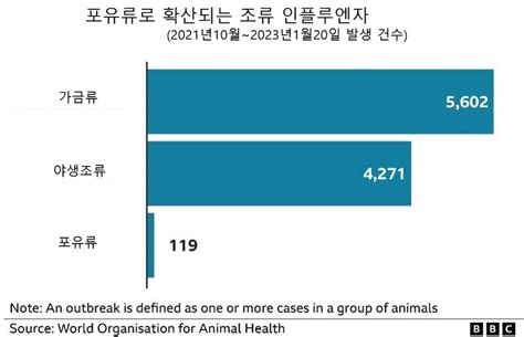 인간 치명률 50인데조류 인플루엔자 포유류 감염 확산