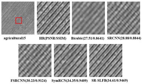 Results Of Super Resolution On Agricultural15 With 2 Fold Sampling