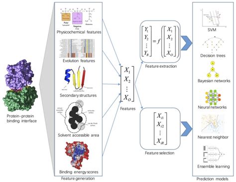 Overview Of Machine Learning Approaches To Predicting Proteinprotein