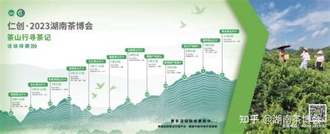 知道六大茶类的“茶语”，读懂泡茶人的心 知乎