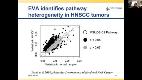 Uncovering Hidden Sources Of Transcriptional Dysregulation Arising From Inter And Intra