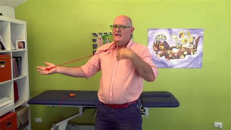Nerves Knowledge And Theratube With David Butler Youtube