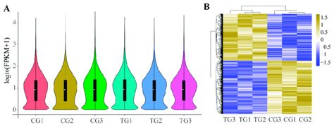 a expression level indicated by log10 fpkm 1 in the mrnas between