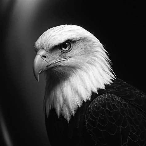 حركةتنقلات محدودة بوزارة الداخلية لبعض القيادات أصدر اللواء محمود