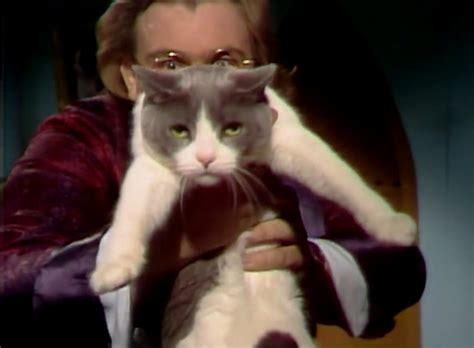 Sctv Dr Tongues 3d House Of Cats Cinema Cats