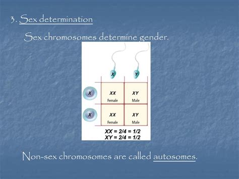 Complex Patterns Of Inheritance Ppt Download